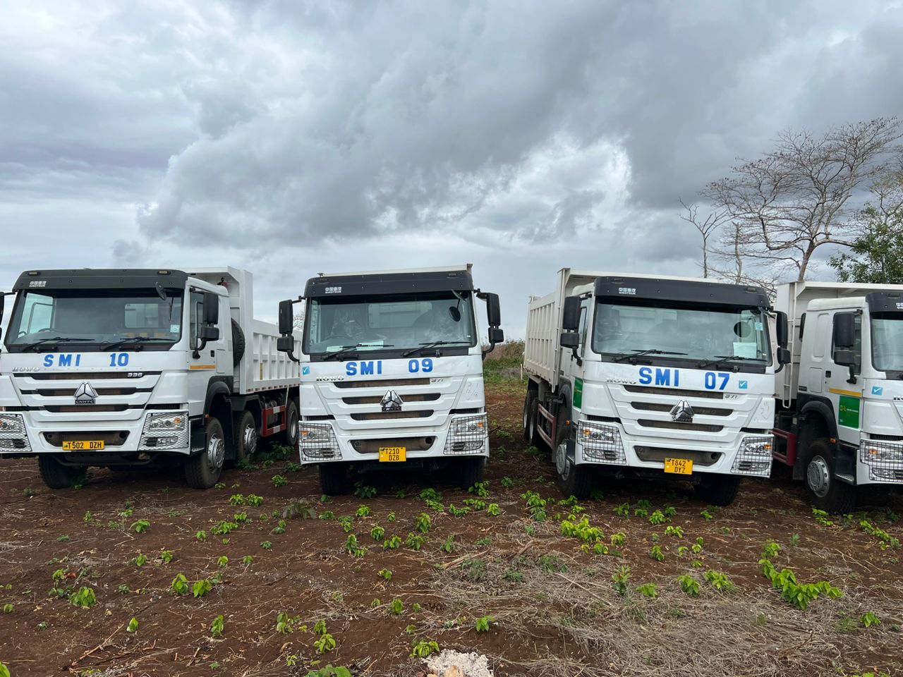 About - Sheby Mix Investment